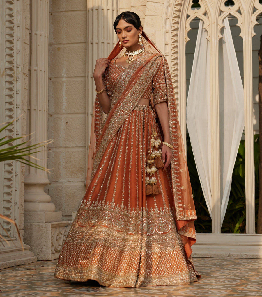 Aster Rust Lehenga Set | WaliaJones